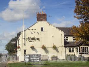 Antrobus Arms in Antrobus (near Northwich) : Pubs Galore
