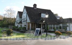 The Pheasant at Buckland in Buckland (near Betchworth) : Pubs Galore