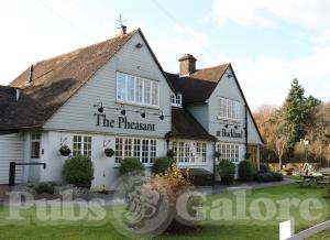 The Pheasant at Buckland in Buckland (near Betchworth) : Pubs Galore