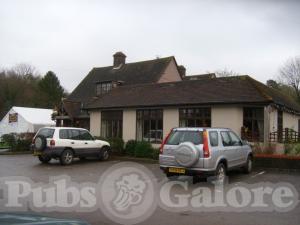 The Pheasant at Buckland in Buckland (near Betchworth) : Pubs Galore