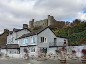 Y Branwen in Harlech : Pubs Galore