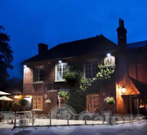 The Stag on the River in Eashing (near Godalming) : Pubs Galore