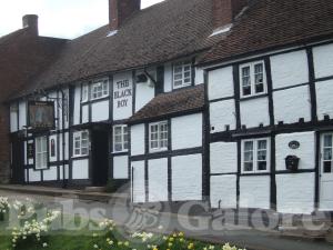 The Black Boy in Bewdley : Pubs Galore