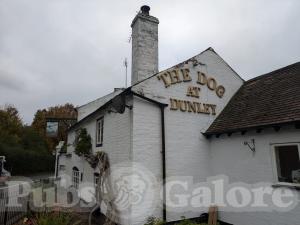 The Dog in Dunley (near Stourport-On-Severn) : Pubs Galore