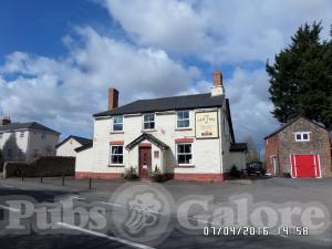 The Yew Tree in Peterstow (near Ross-On-Wye) : Pubs Galore