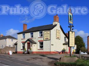 The Yew Tree in Peterstow (near Ross-On-Wye) : Pubs Galore