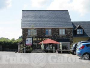 The Falcon in West Hill, Wadebridge : Pubs Galore