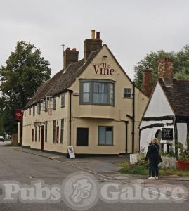 The Vine in Buckden (near St. Neots) : Pubs Galore