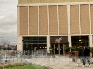 The Botanist in Barnsley : Pubs Galore